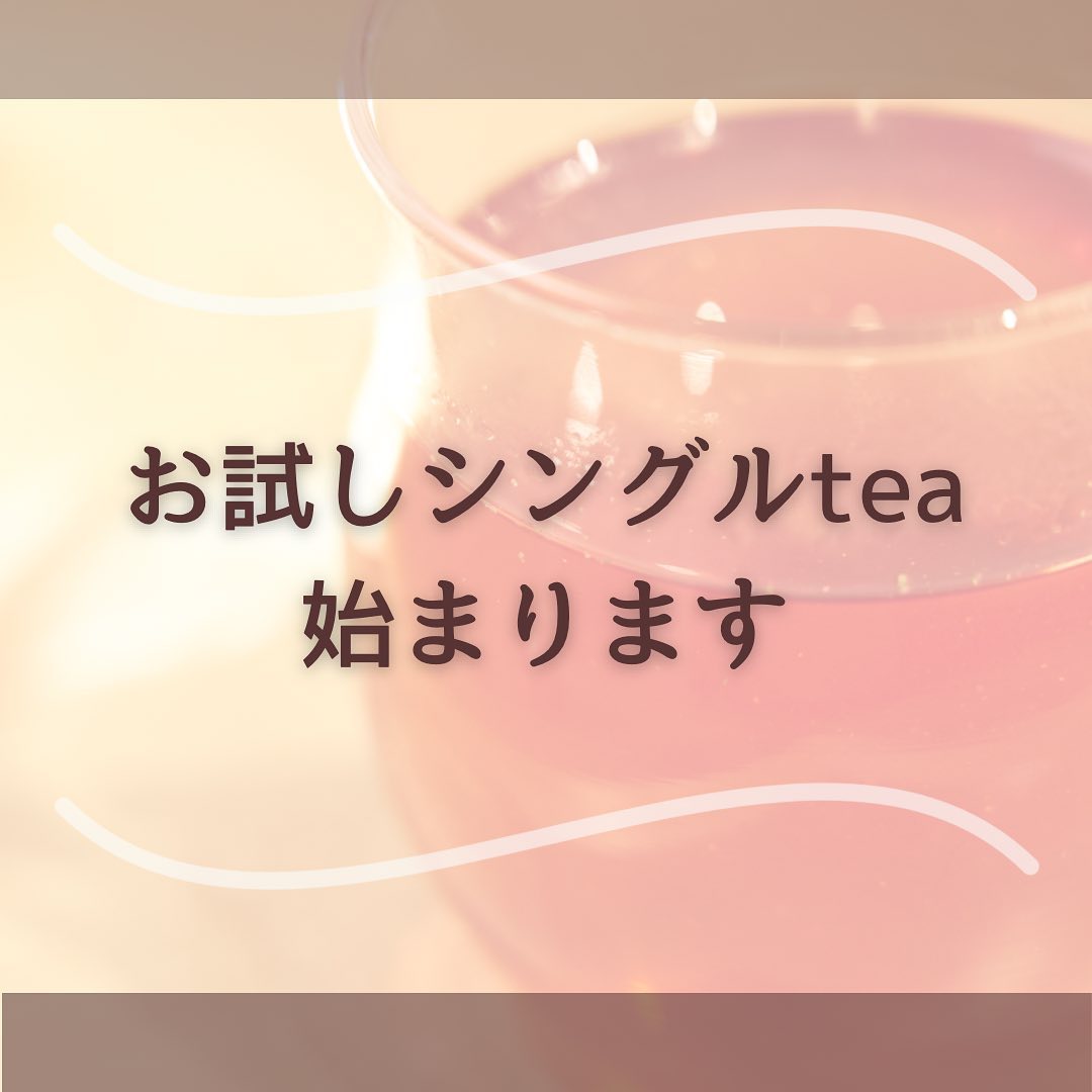 🌿🫖 | BLOG | 江東区で鍼灸ならWA-roots